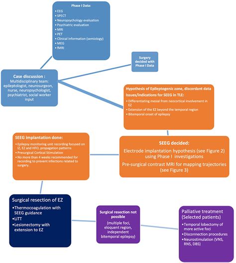 Frontiers Stereo Encephalographic Presurgical Evaluation Of Temporal