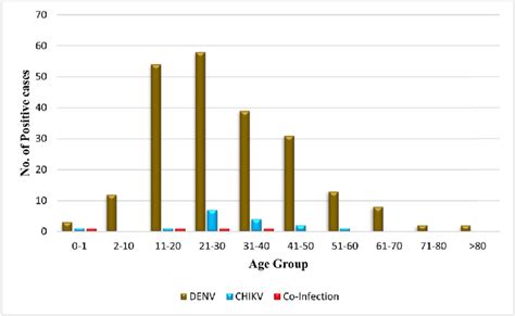 Age Wise Distribution Of Denv Chikv Infection Download Scientific