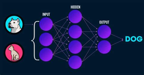 How To Build Your Own Neural Network From Scratch In Python” By James Loy Towards Data Science