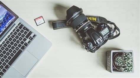 7 Essential Research Methods In Social Science Studies Research