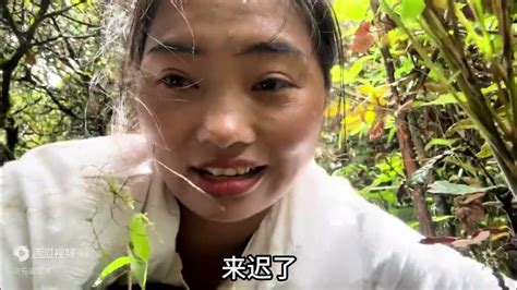 带妹妹上山捡菌子，下雨天到处是，一会儿功夫捡了2大桶 Youtube