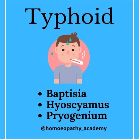 Typhoid 👉👉👉👉👉👉 What Is Typhoid Fever Typhoid Fever Is An Acute