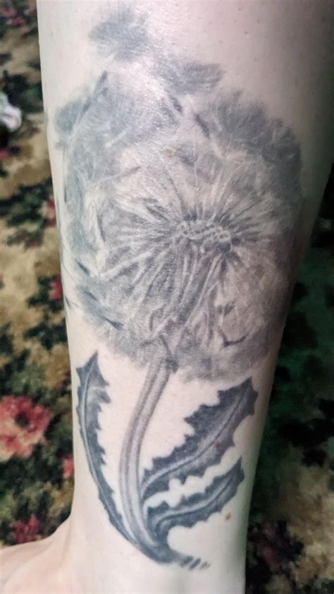 My 15 Year Old Dandelion Tattoo R Agedtattoos