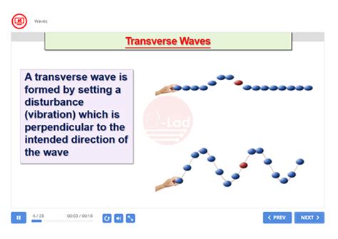 Physics 101 Android Elad Shop