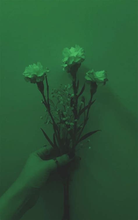 Green Aesthetic Photos Tumblr At Maria Couch Blog