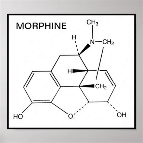 Morphine Chemical Structure Poster Zazzle