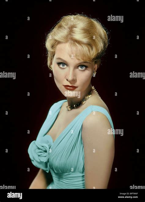 Diane Mcbain Biography