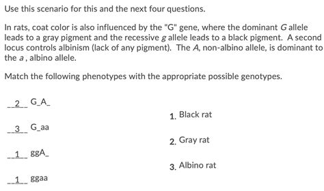 Solved Use This Scenario For This And The Next Four