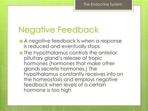 Ppt Digestive System Powerpoint Presentation Free Download Id3054055
