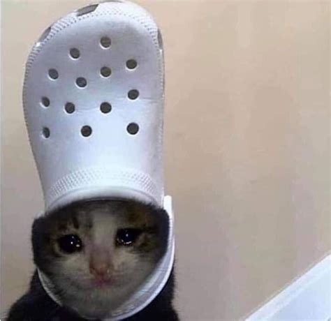 Image About Funny In Crying Cats By 「 Kira 」 On We Heart It Cat Memes