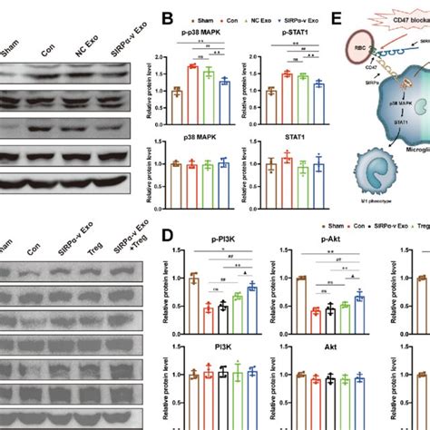 Abc 2 Method Variants Example Of The Standard Abc 2 And Modified Abc 2 Download Scientific