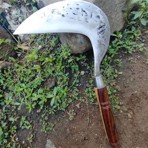 Arit Dewi Bintang Garut Super Tajam Bahan Baja Asli Lazada Indonesia