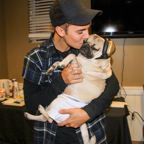 Doug The Pug Itsdougthepug On X Doug The Pug I Love Justin Bieber