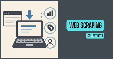 Why Businesses Use Web Scraping Services To Collect Data