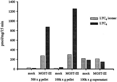 Ltc 4 Synthase Activity Subcellular Fractions From Sf9 Cells