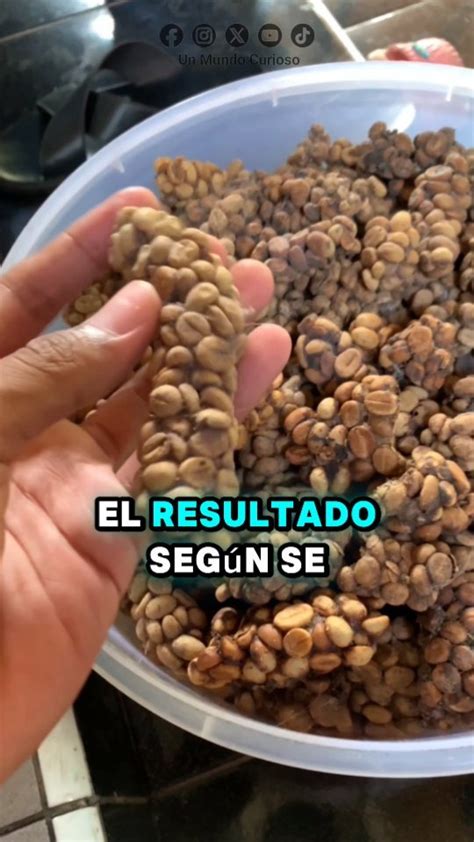 Cafe De Caca De Mono