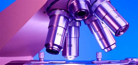 Comment Utiliser Un Microscope