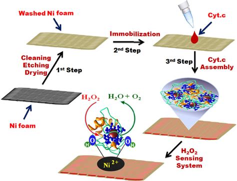 Scheme 1 Representative Scheme Of The Sequential Construction Of