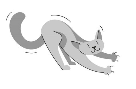 Stretching Cat Illustrations Royalty Free Vector Graphics And Clip Art