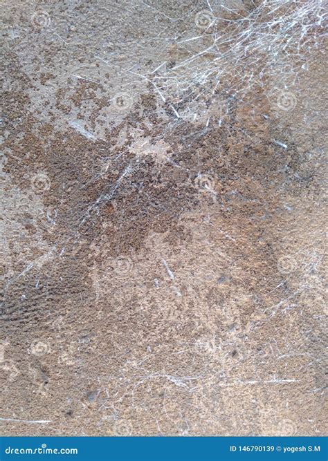 Spider Texture Royalty Free Stock Image 146790100