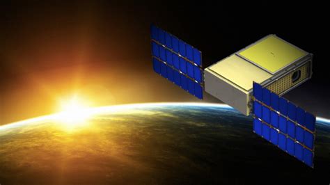 En 2020 La Nasa Volverá A Enviar Seres Vivos Al Espacio Profundo Infobae