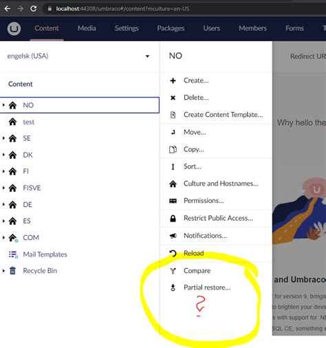 Content Transfer From Localhost To Development Not Available · Issue