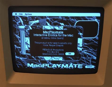 Found Hidden And Charming Mac Porn Game From Atlas Obscura