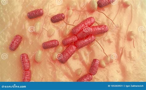 Coliform Microorganism On Human Skin Macro Shot Stock Illustration