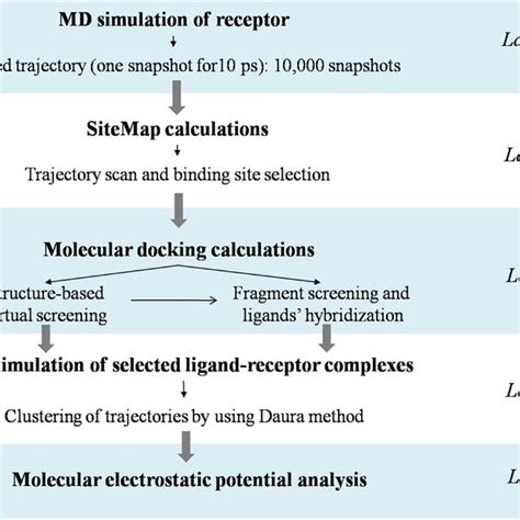 Schematic Representation Of Multi Layered Method Applied In This Work Download Scientific