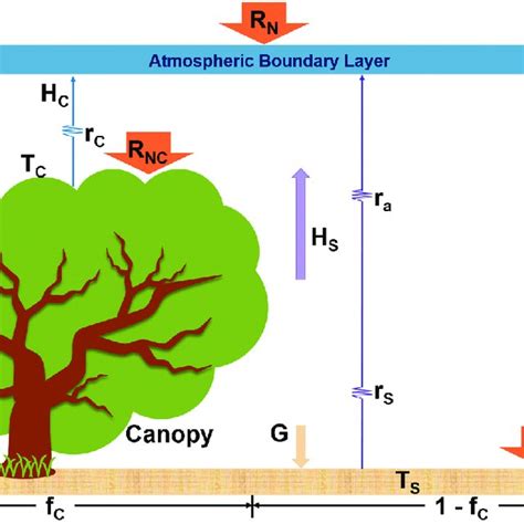 Overview Of The Ssebop Model Methodology Download Scientific Diagram