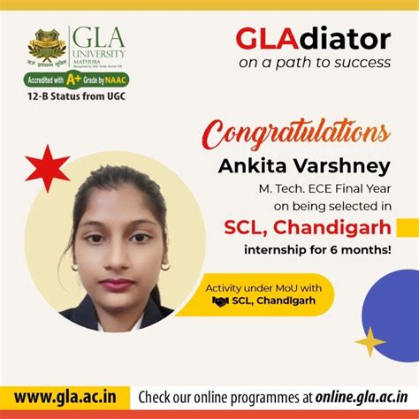 Office Of Dean Irac On Linkedin International Relations Academic