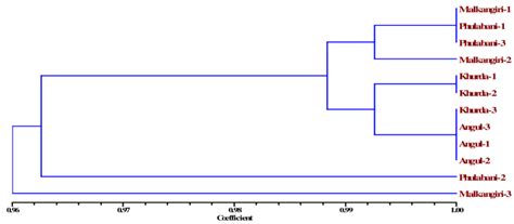 Dendrogram Showing Genomic Relationship Within 4 Populations In H