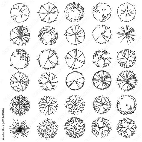 Hand Drawn Planting Parts Perfect For Architectural Drawings Sections