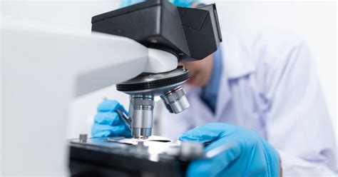 Los 18 Tipos De Microscopio Y Sus Características