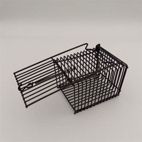 Rat Cage Rodent Control Mouse Trap Small Mouse Bubwit Shopee Philippines
