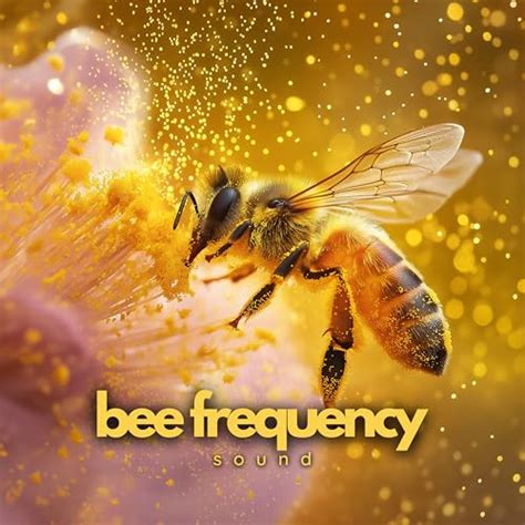Écouter Bee Buzzing Natures Healing Frequencies De The Healing Sound