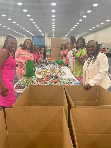 Al Alpha Kappa Alpha Sorority Inc Delta Lambda Chapter