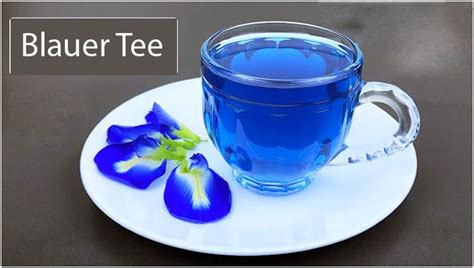 Blauer Tee Reguliert Den Blutzucker Gesündestes Tee Rezept Gesunderezepte Eu