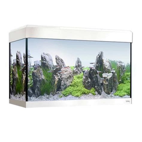 Fluval Roma 125 Led Aquarium Only Black Lincs Aquatics