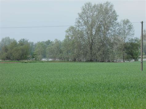 Big Tower Online Puzzle