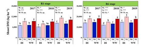 Effects Of Nitrogen Fertilization N And Seedling Stage Water