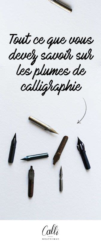 Plumes De Calligraphie Calligraphique