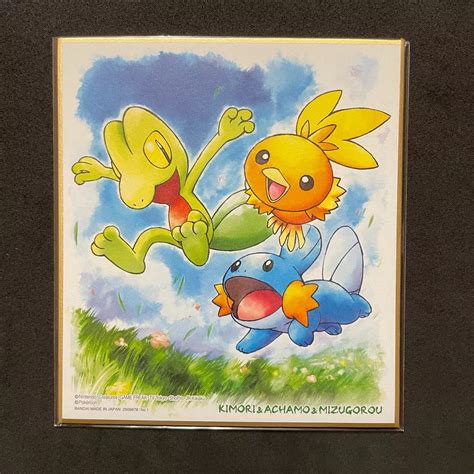 Treecko And Mudkip