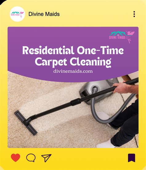Professional Carpet Cleaning Service In Tukwila Washington Expert