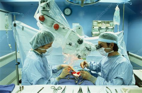 Microsurgery Stock Image M5500604 Science Photo Library