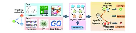 Design Processes Of The Drug Combination Prediction Approach