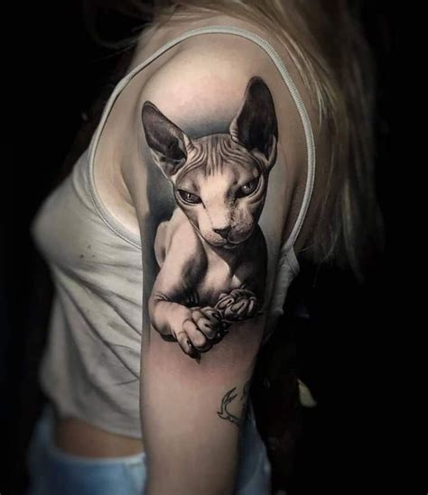 Pin By Lyz Lefebvre On Tatoo Sphynx Cat Tattoo Cat Tattoo Designs