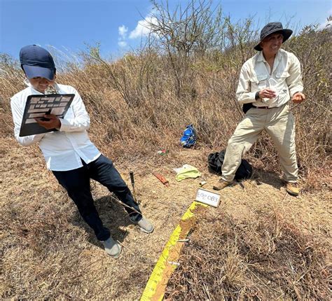 Conocer Composición De Suelos Permite Saber Qué Sembrar Gobierno De Guatemala