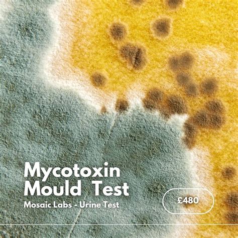 Mycotoxin Mould Test Detect Toxic Mould In Your Body And Identify Mould Exposure Body Fabulous