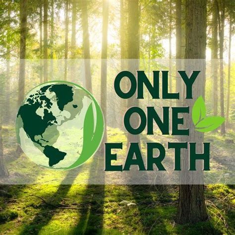 Areeba Qamar On Linkedin Worldenvironmentday2022 Onlyoneearth